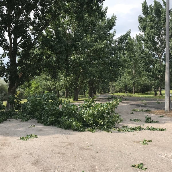 Freeman Park - 1 tip from 117 visitors