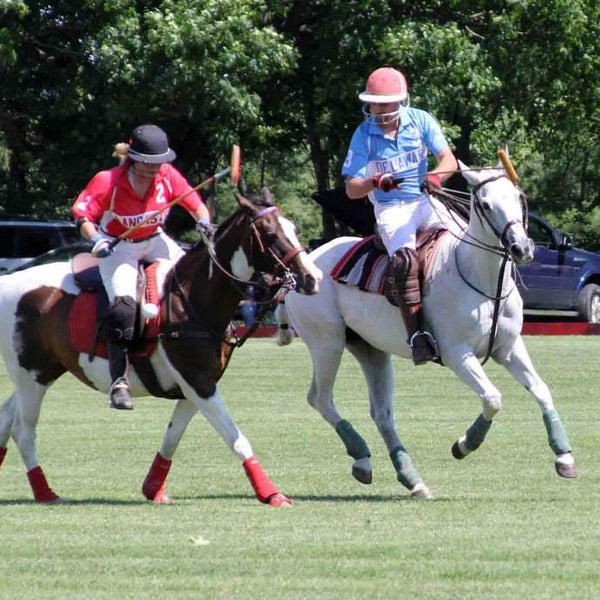 Lancaster Polo Club - Field