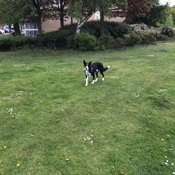 Blyth Motorway Services (Moto) - Blyth, Nottinghamshire