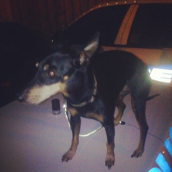 Toronto Police Service - 22 Division - Islington - City Centre West ...