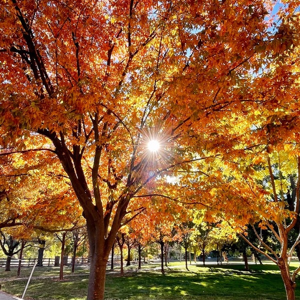 Markham Nature Park and Arboretum - Park in Concord