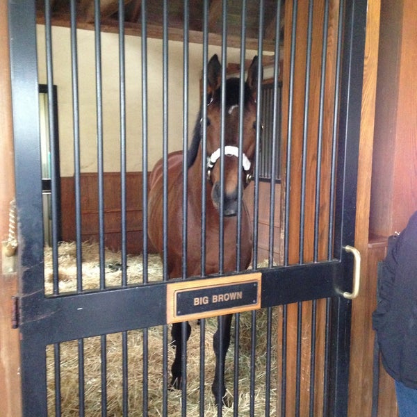 Three Chimneys Horse Farm - Farm in Versailles