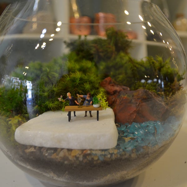 Twig Terrariums - Garden Center in Kensington