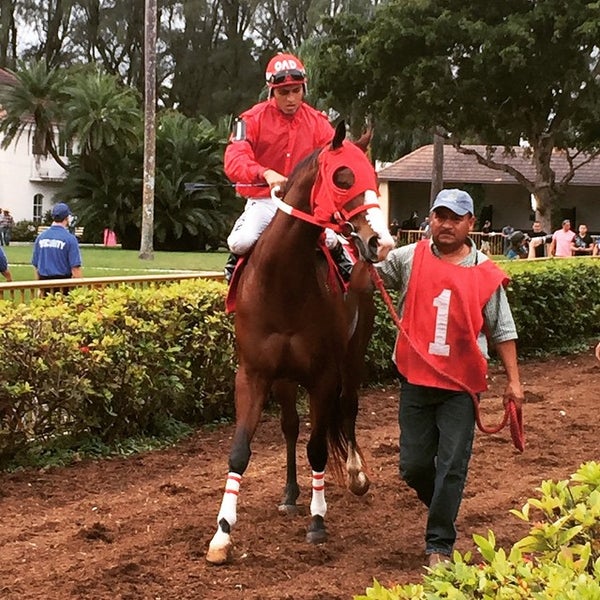 Photos at Hialeah Park Race Track - 2200 E 4th Ave