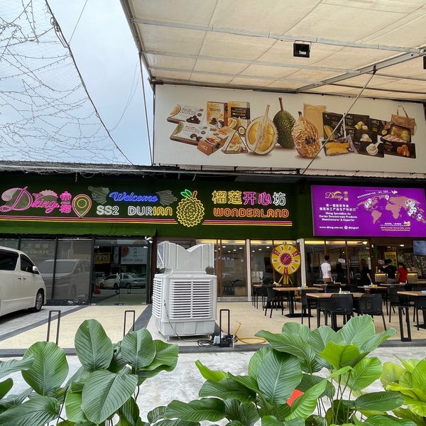 DKING SS2 帝一榴 - 1 tip