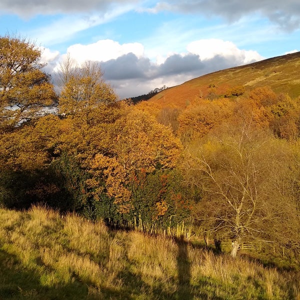 White Coppice - Other Great Outdoors