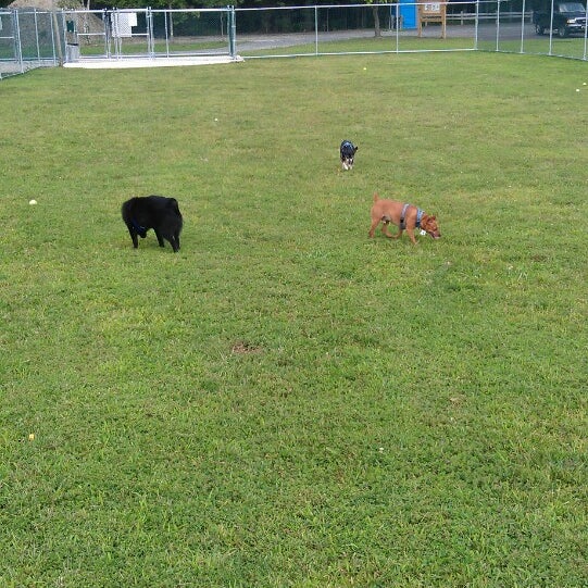 Cuddy Park Dog Park - Lower Frederick Township, PA