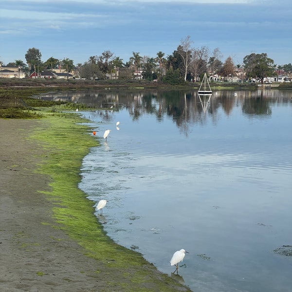 Colorado Lagoon - Colorado Street