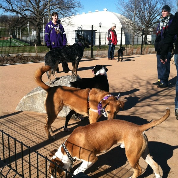 Patterson Park Dog Park - Dog Run in Patterson Park