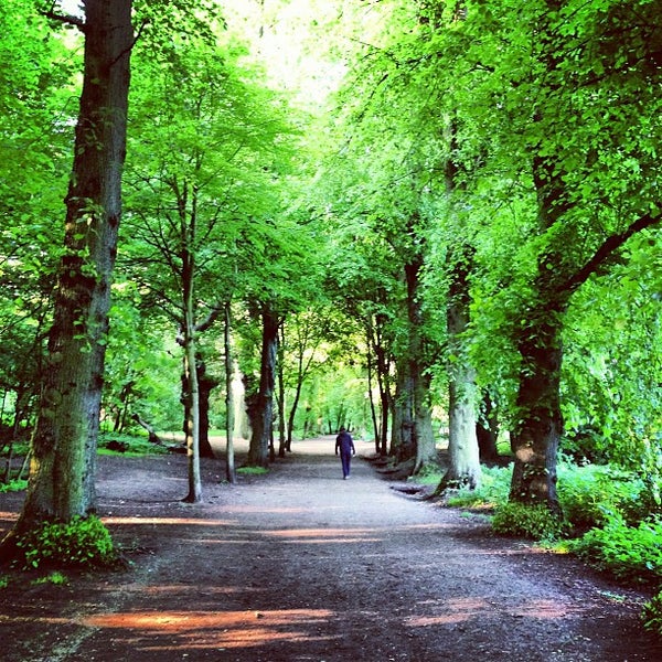 Hampstead Heath - Park