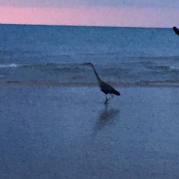 Port Franks Beach - Beach in Lambton Shores