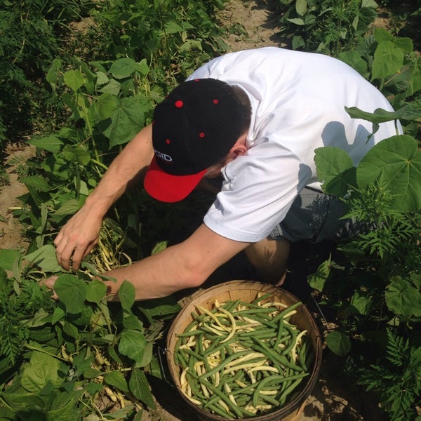 Fitch's Farm Market - 4413 Center Rd