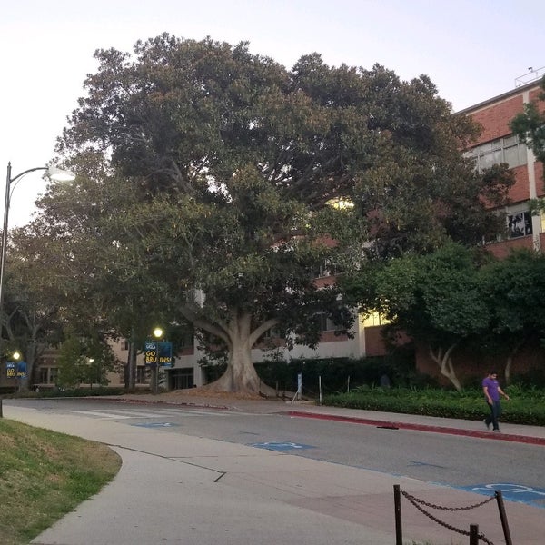 Photos at UCLA Mathematical Sciences Building - College Math Building ...