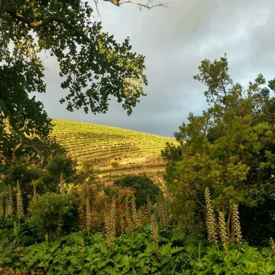 Constantia Glen