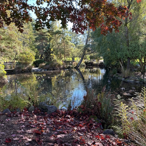 Point Defiance Duck Pond - West End - 5910 N Waterfront Dr