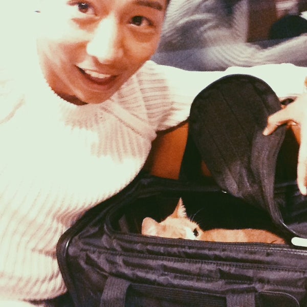 Taco Bell - 404 Colman St