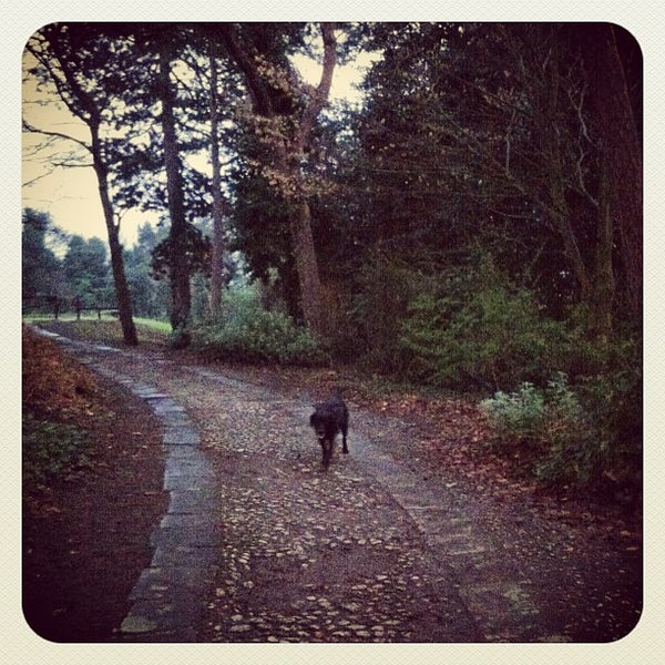 Bidston Court Gardens - Park