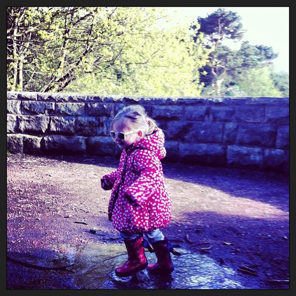 Bidston Court Gardens - Park