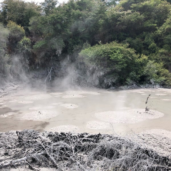 Mud Pool - Other Great Outdoors in Waiotapu