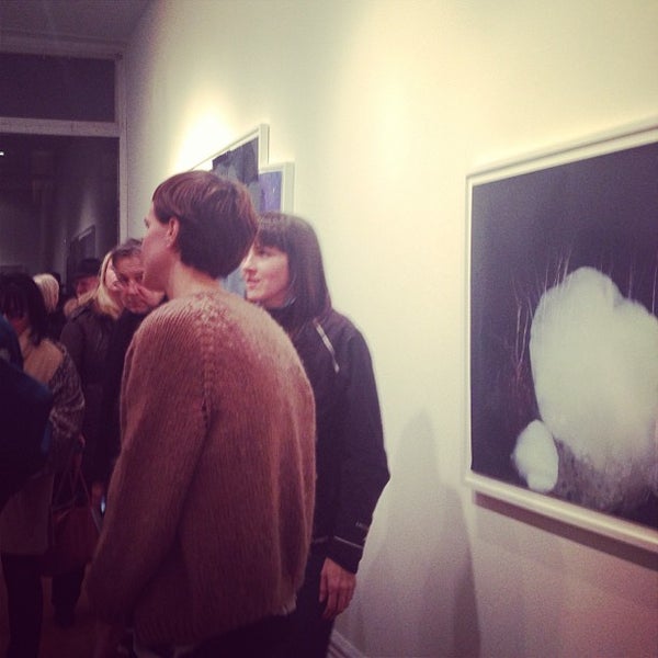Katherine Mulherin Contemporary Arts Projects (Now Closed) - Art ...