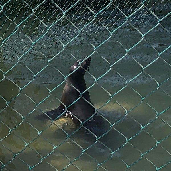 Dolphin Discovery - Paseo de Los Pescadores