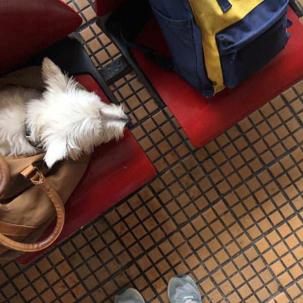 Gara Deva - Deva, Hunedoara