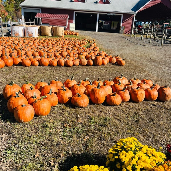 Barton Orchards - 63 Apple Tree Ln