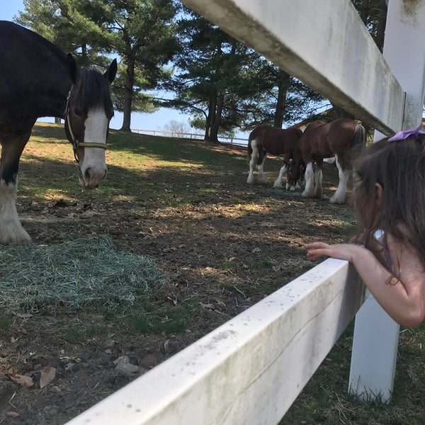 Photos at Carousel Farm Park - 3700 Limestone Rd