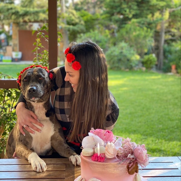 Λαγονήσι (Lagonisi) - 4 tips