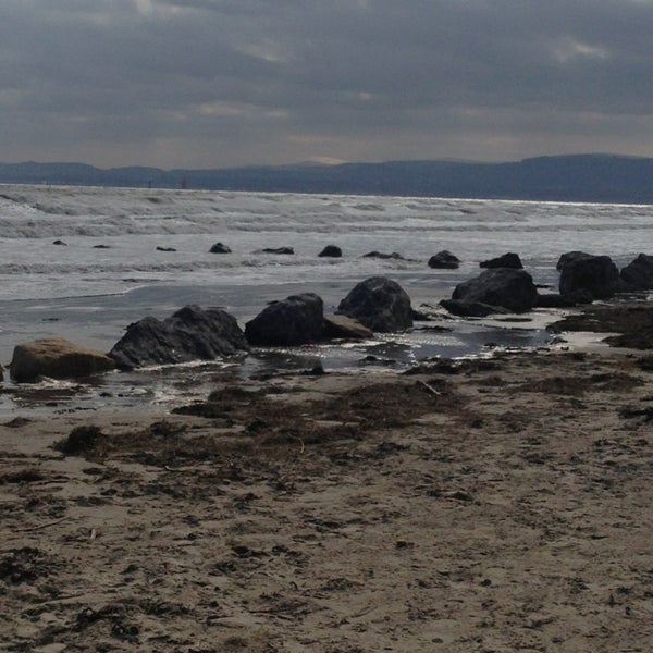 Bull Island - Clontarf - 8 tips