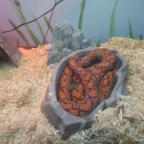 Bug Museum - West Bremerton - 4 tips from 186 visitors