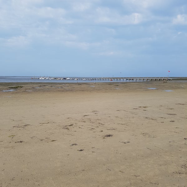 Grado Pineta - Beach in Grado Pineta