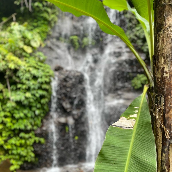 Gitgit Waterfall - 43 tips