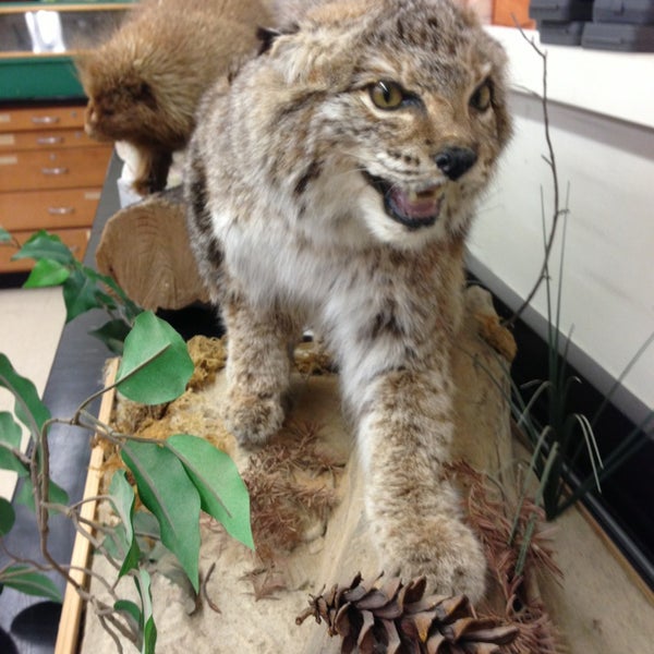 Photos at FH Tuttle Middle School - 1 tip from 61 visitors