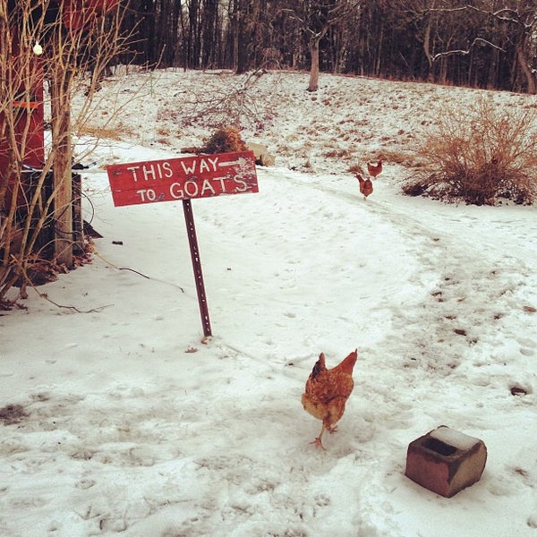 Fat Toad Farm - 1 tip