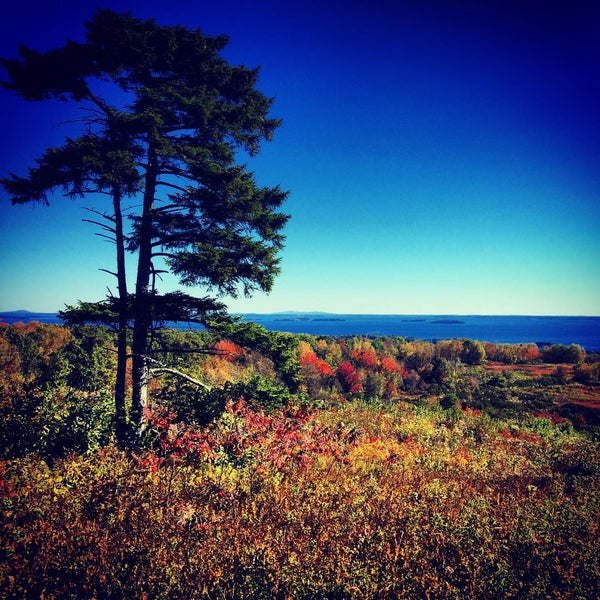 Beech Hill - Hiking Trail