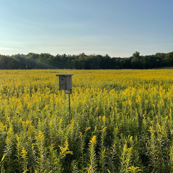 Cherokee Marsh Conservation Park - Madison, WI