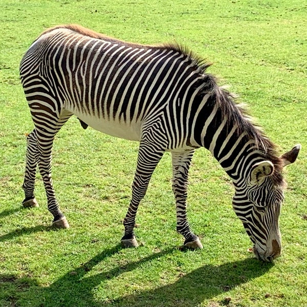 Banham Zoo - Zoo