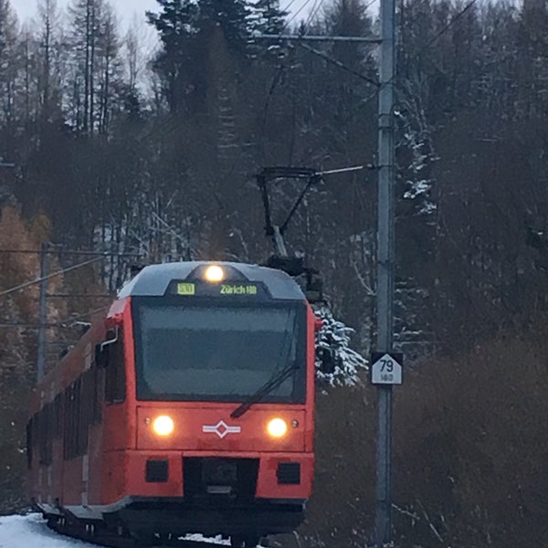 ZVV S-Bahn S10 (SZU) - Train in City