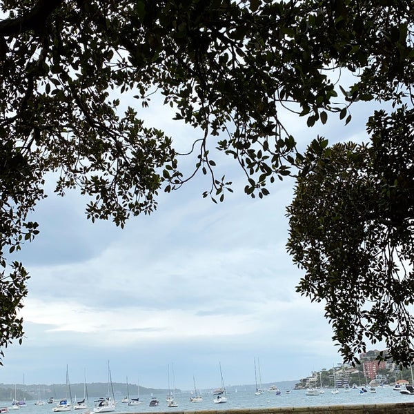 Steyne Park - Double Bay, NSW