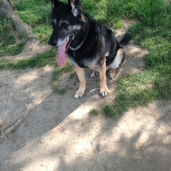 Photos at Bow Wow Beach - Dog Run in Stow