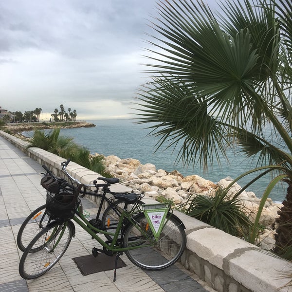 Málaga Bike Tours & Rentals by Kay Farrell - Centro - Málaga, Andalucía