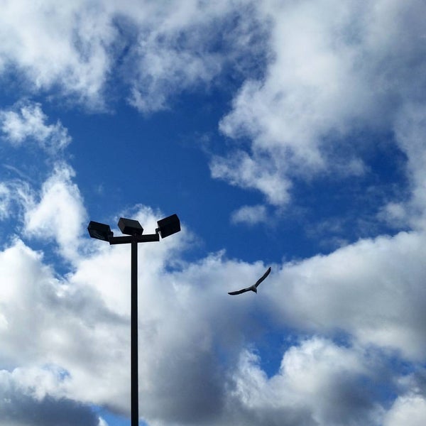 Pathmark (Now Closed) - Supermarket