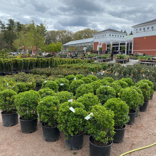 Briggs Flowers North Attleboro Ma | Best Flower Site