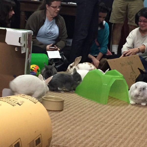 San Diego House Rabbit Society - Kearny Mesa - 5 tips