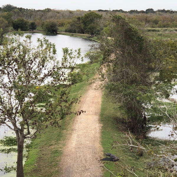 40 Acre Lake Observation Tower - 83 visitors