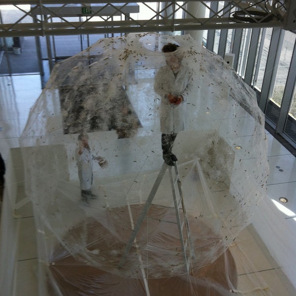 MIT Media Lab — Building E14 - College Technology Building in Cambridge