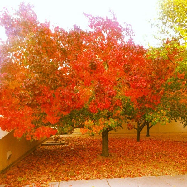 Computer Aided Engineering CAE - College Engineering Building in Madison