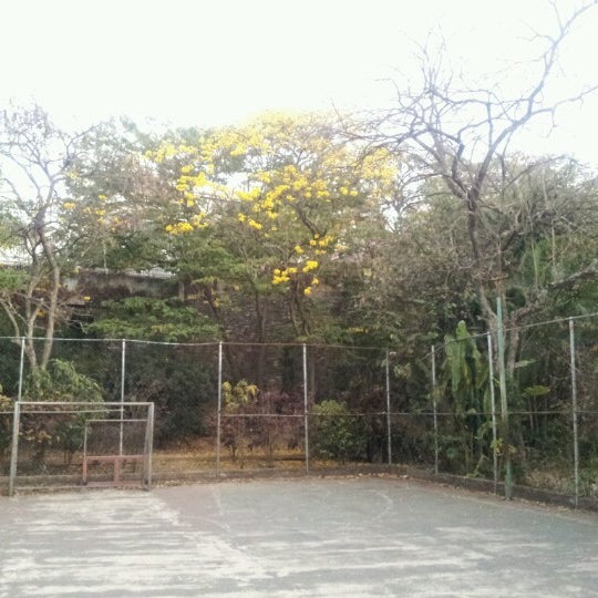 Parque macaracuay - Park