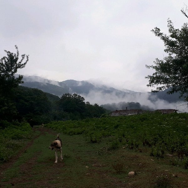 Shirgah | شیرگاه